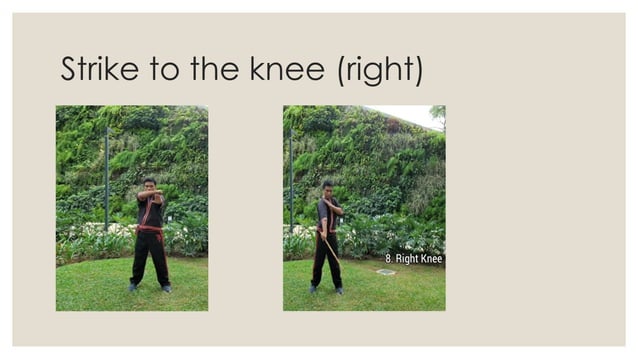 ARNIS STRIKING AND TECHNIQUE DRILLS.pptx