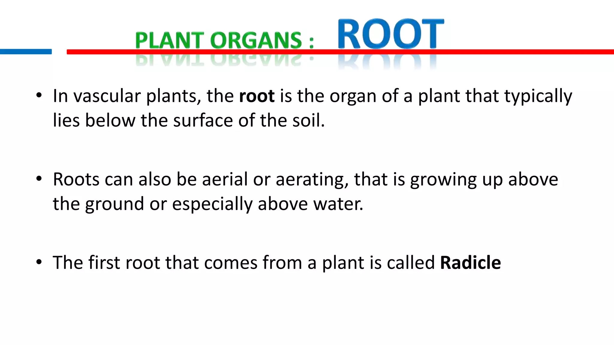 PRIMARY PLANT BODY (root, stem & leaves) | PPTX