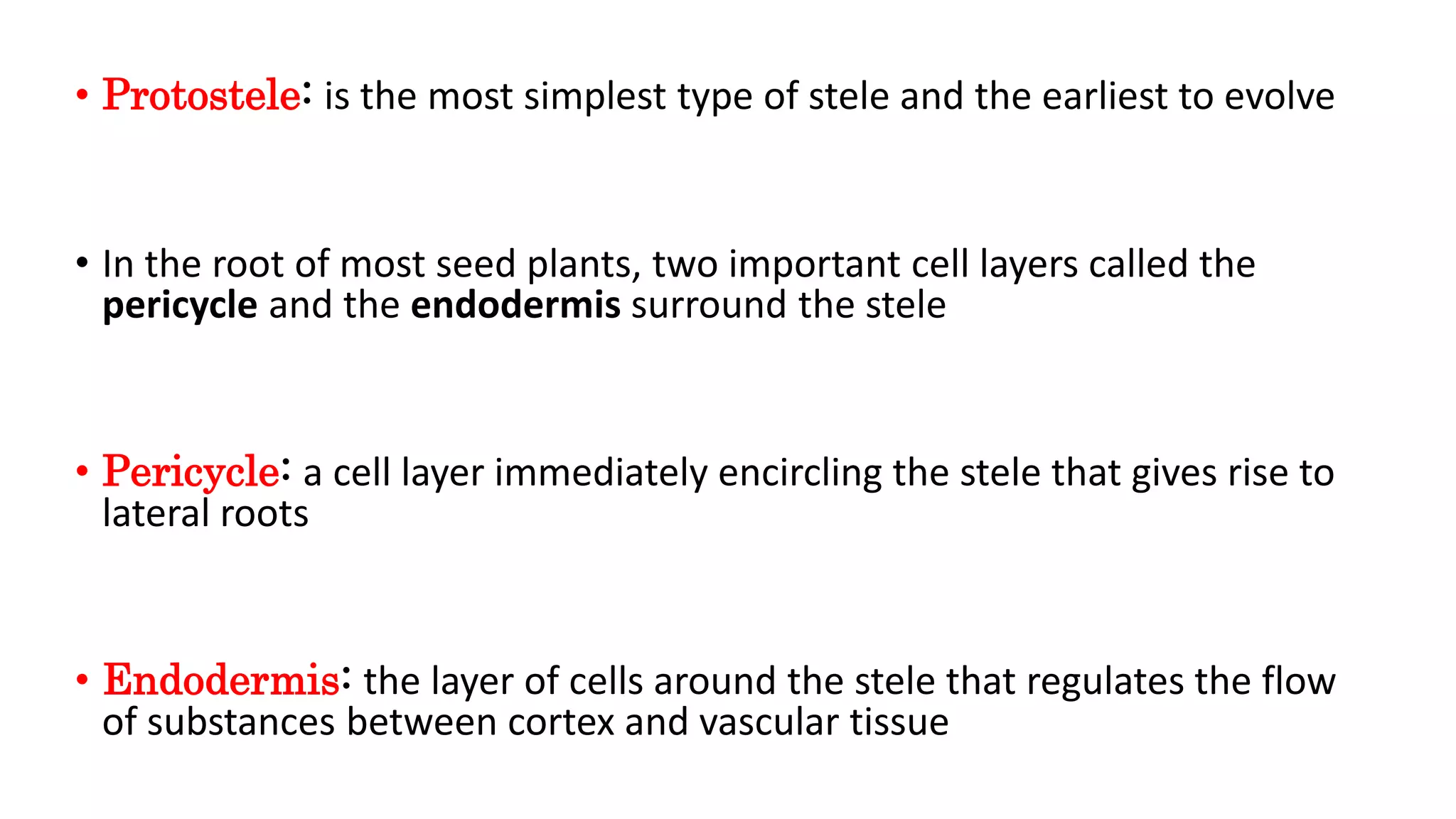 PRIMARY PLANT BODY (root, stem & leaves) | PPTX