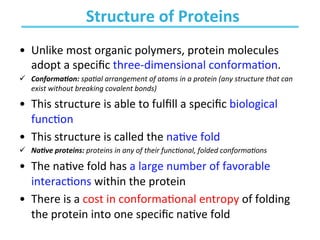 Protein Structure And Function