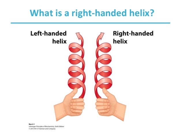 Biochemistry - Ch4 protein structure , and function