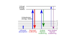 Chapter 4 - Raman Spectroscopy.pdf