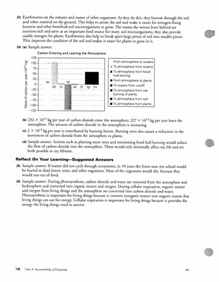 Chapter4 review-ans | PDF