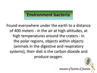 Chapter 4 Introduction to Bacteria: Definition, Structure and Function ...