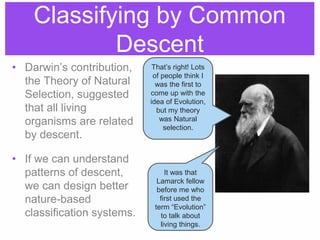 Chapter4-Systematics.ppt