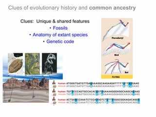 Chapter4-Systematics.ppt