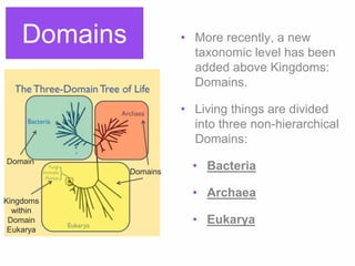 Chapter4-Systematics.ppt