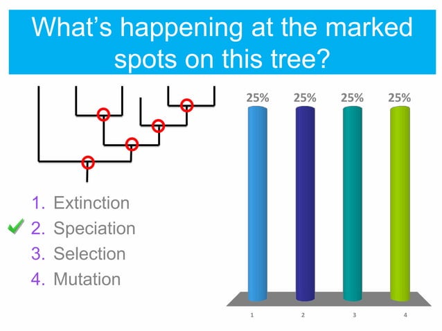 Chapter4-Systematics.ppt