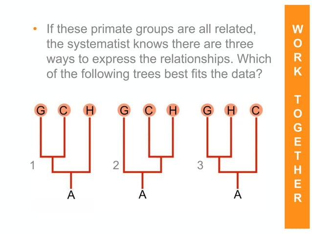Chapter4-Systematics.ppt