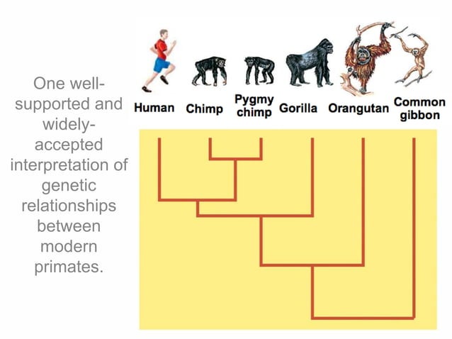 Chapter4-Systematics.ppt