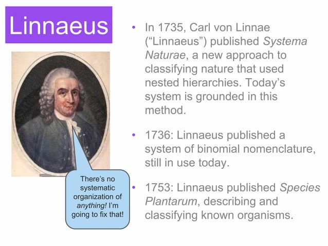 Chapter4-Systematics.ppt