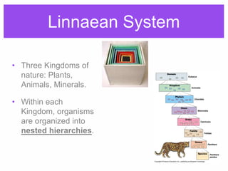 Chapter4-Systematics.ppt