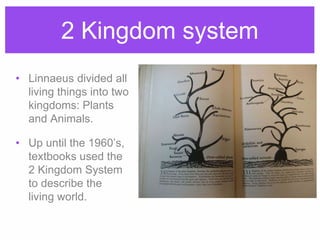 Chapter4-Systematics.ppt