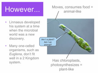 Chapter4-Systematics.ppt