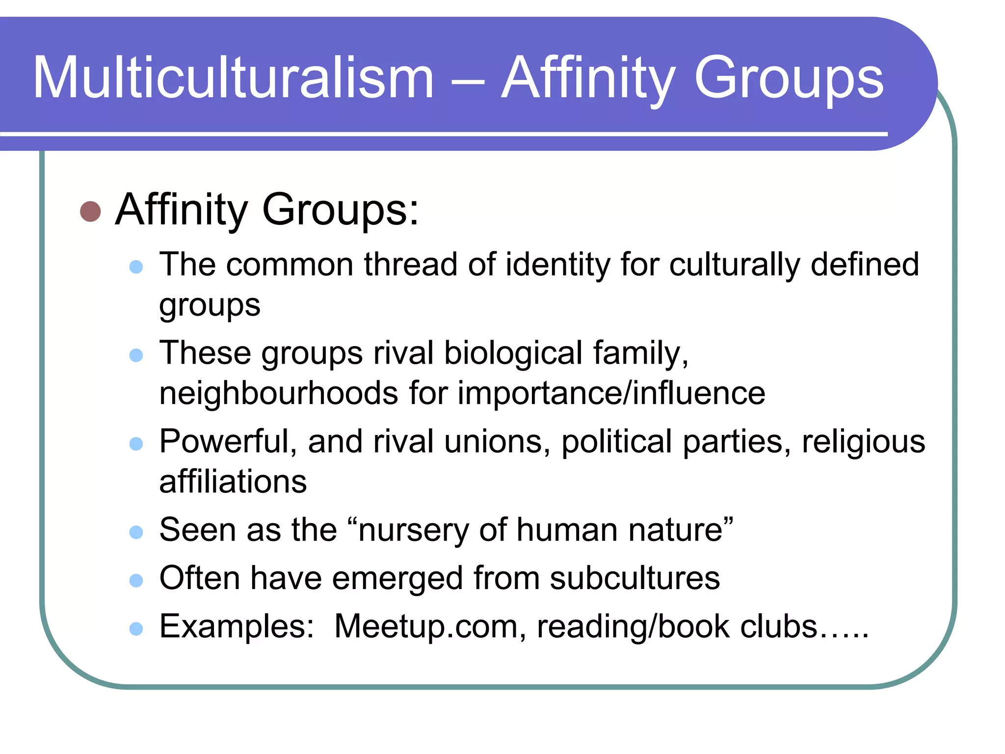 Chapter 4- The Multicultural Society-1.pptx