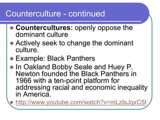 Chapter 4- The Multicultural Society-1.pptx