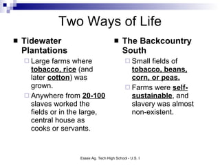 Chapter 4 Thirteen English Colonies | PPT