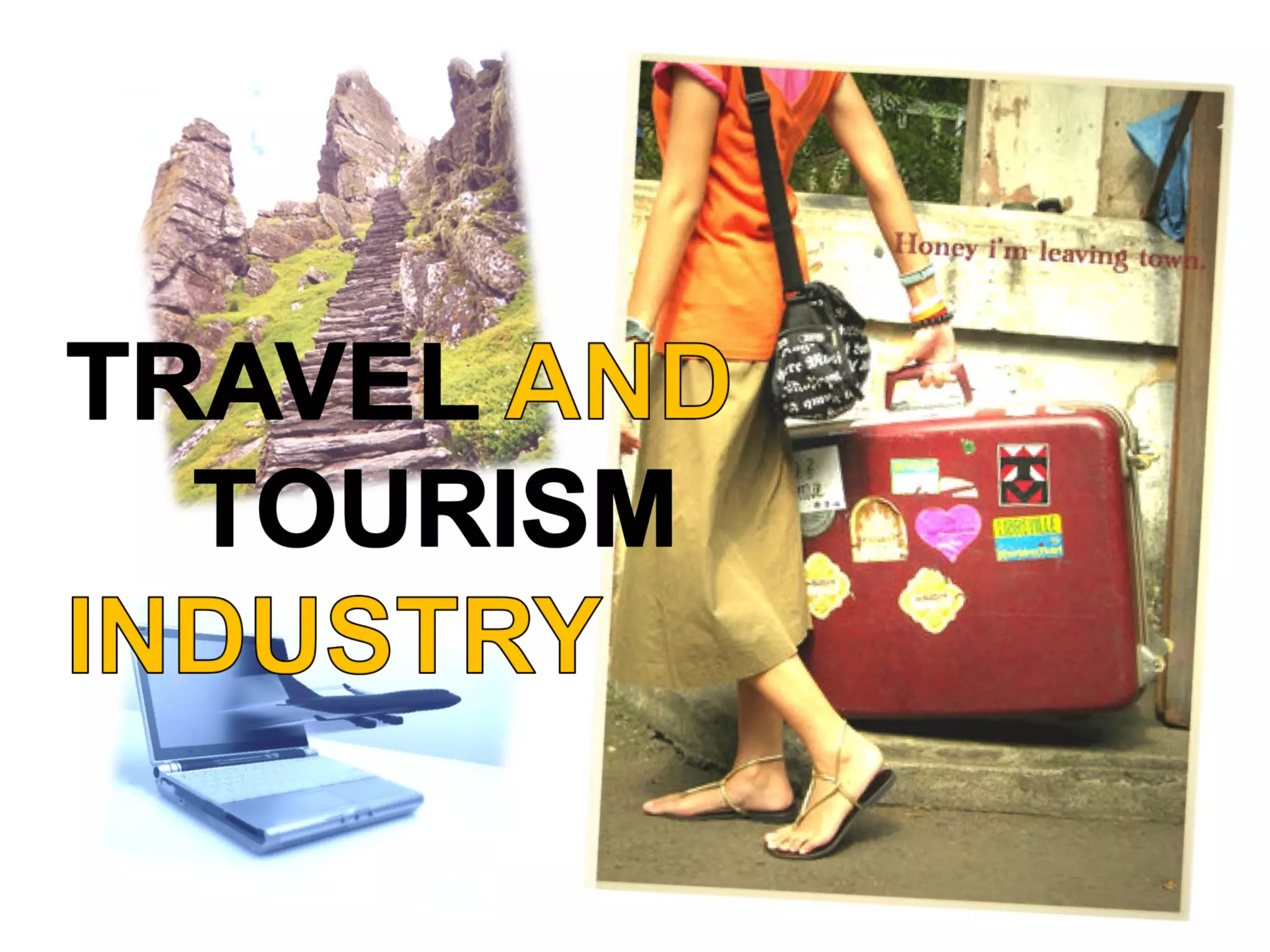 Chapter 4- Types of tourists | PPT