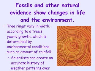 Chapter 4 Views of Earth's Past | PPT