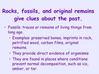 Chapter 4 Views of Earth's Past | PPT | Geology | Science