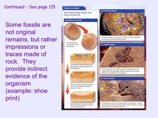 Chapter 4 Views of Earth's Past | PPT