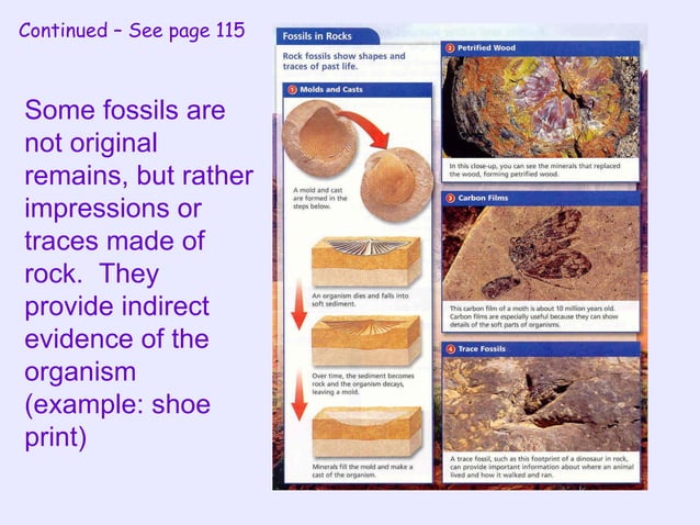 Chapter 4 Views of Earth's Past | PPT