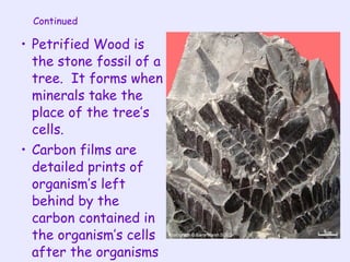 Chapter 4 Views of Earth's Past | PPT | Geology | Science