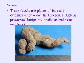 Chapter 4 Views of Earth's Past | PPT | Geology | Science