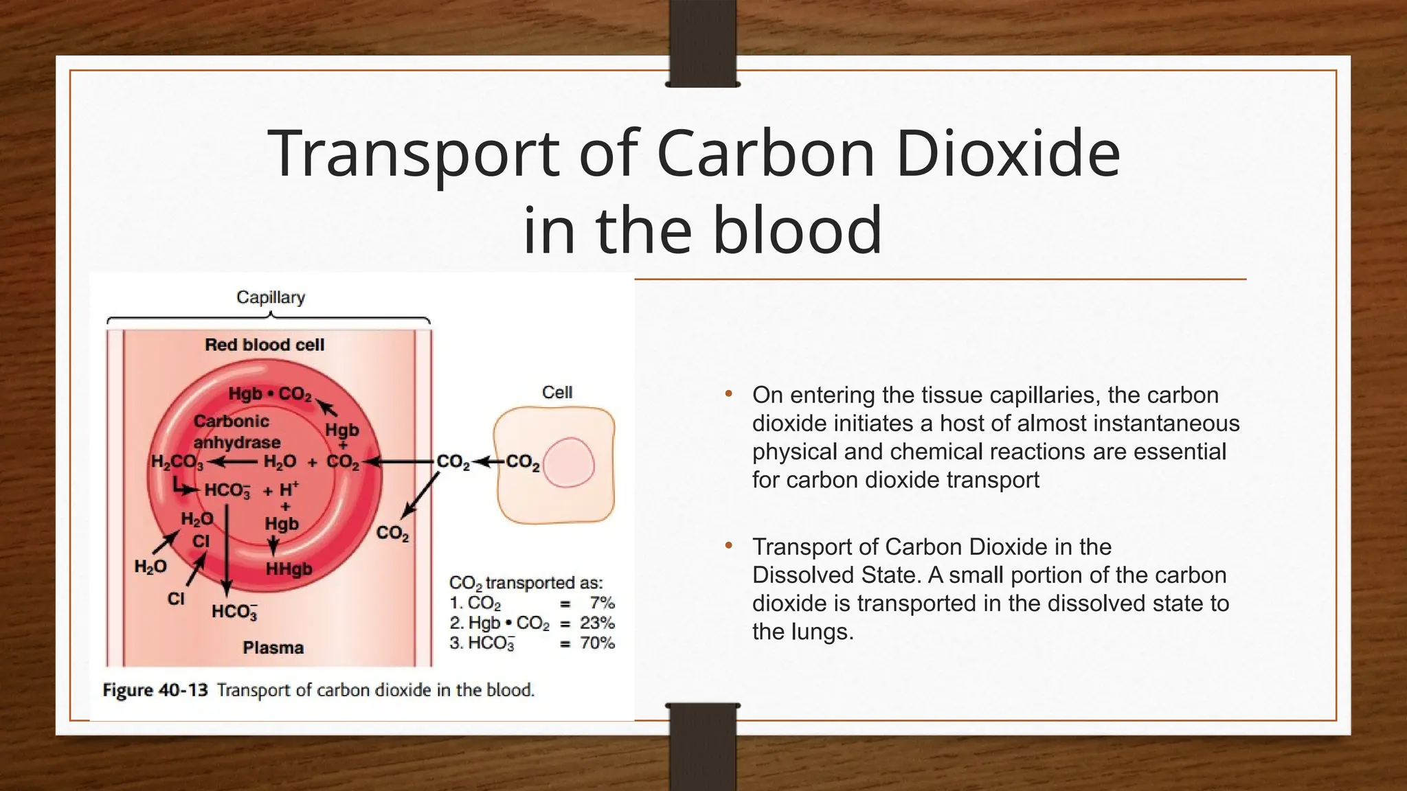Tranporte de O2 YCO2 en la membrana alveolo capilar | PPTX