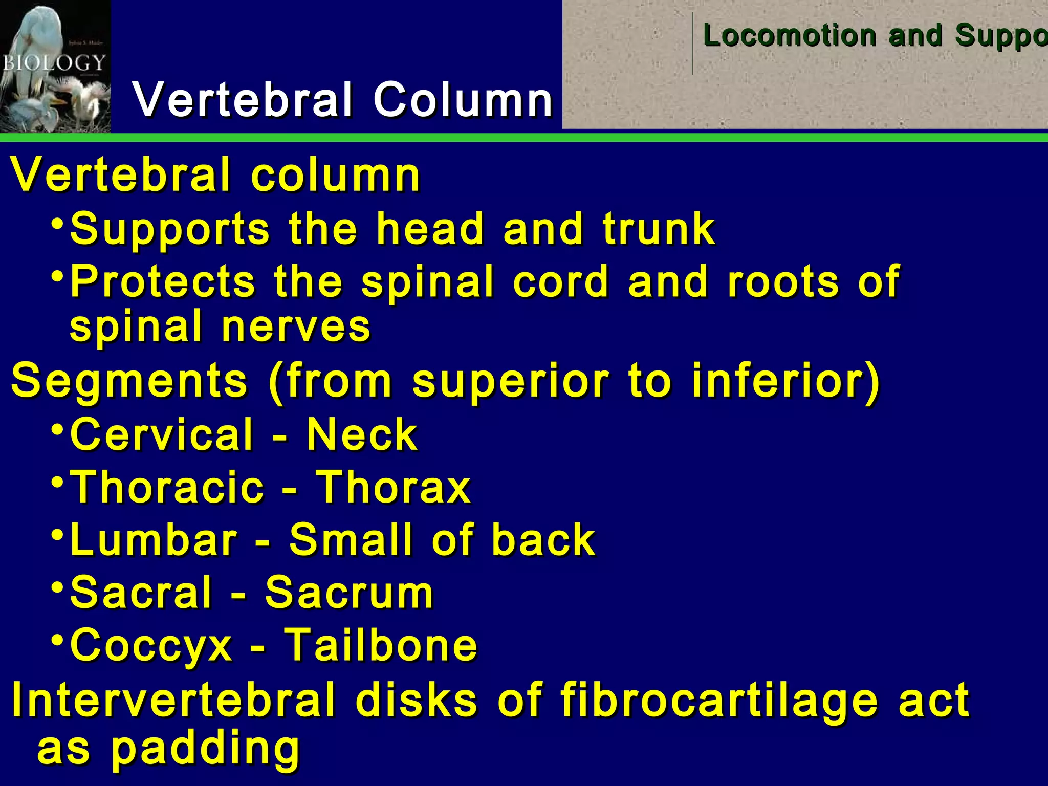 Locomotion and Support Systems | PPT