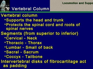 Locomotion and Support Systems | PPT