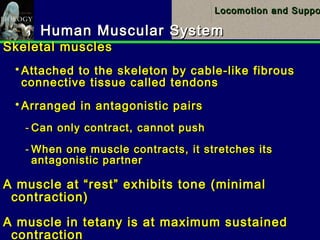 Locomotion and Support Systems | PPT