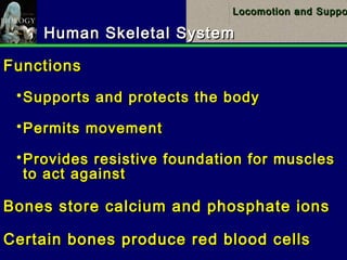 Locomotion and Support Systems | PPT