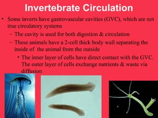 AP Biology Circulation and Gas Exchange | PPT