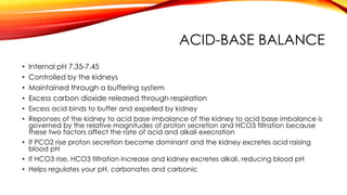 Chapter 44:Homeostasis | PPT