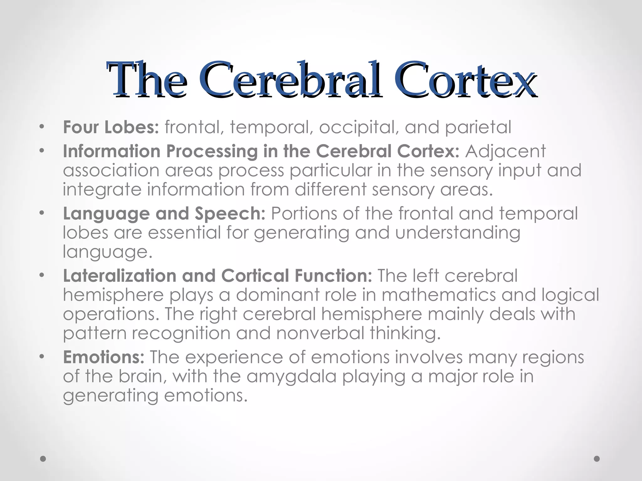 Chapter 49 the nervous system ppt | PPT