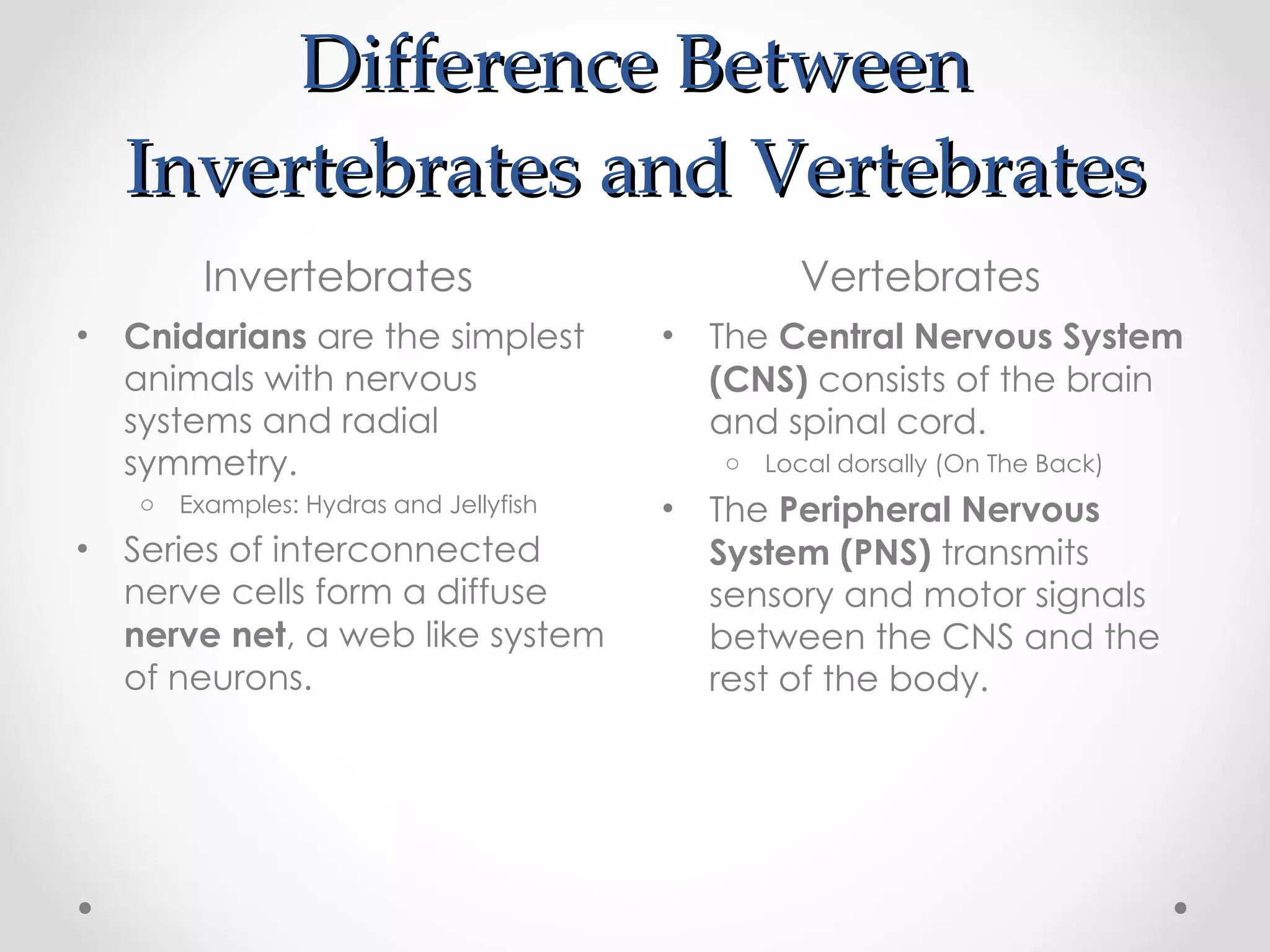 Chapter 49 the nervous system ppt | PPT