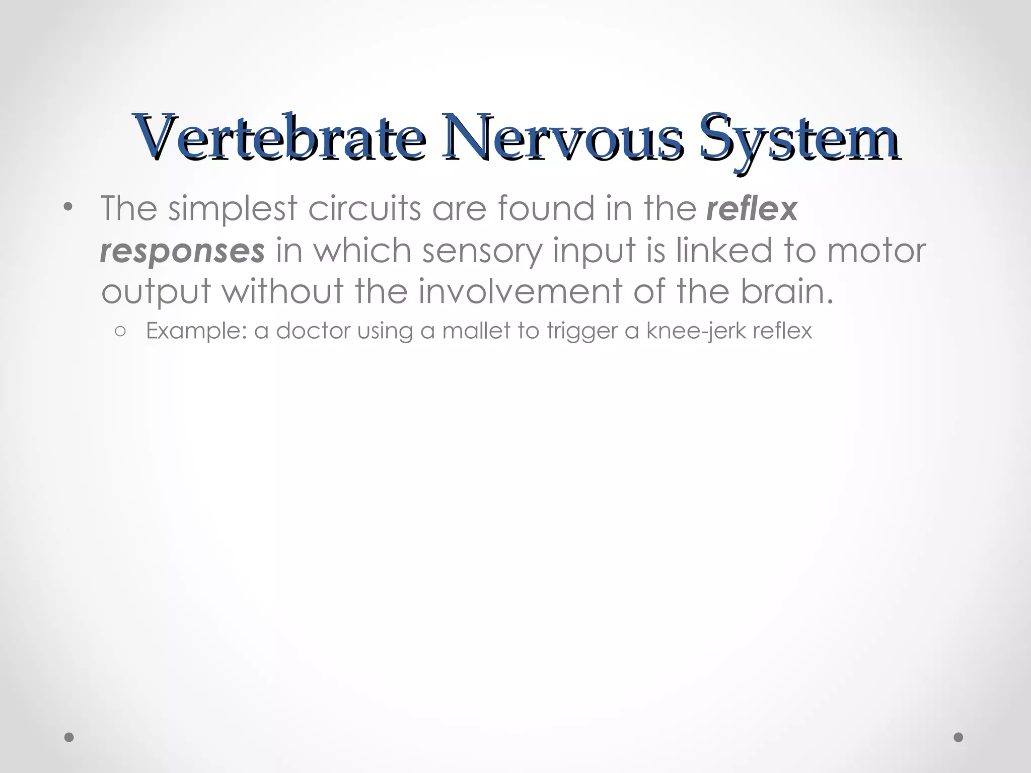 Chapter 49 the nervous system ppt | PPT