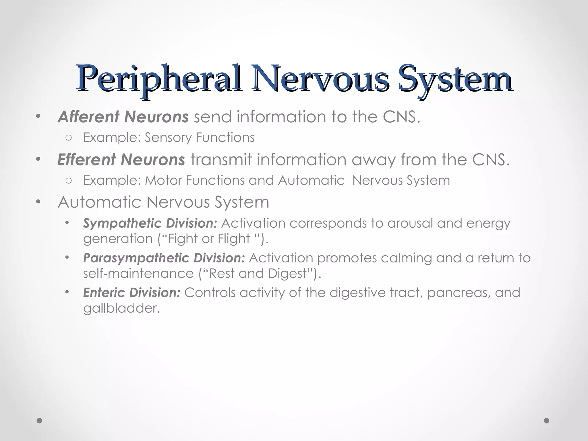 Chapter 49 the nervous system ppt | PPT