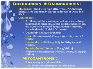 Antineoplastic Drugs | PPT