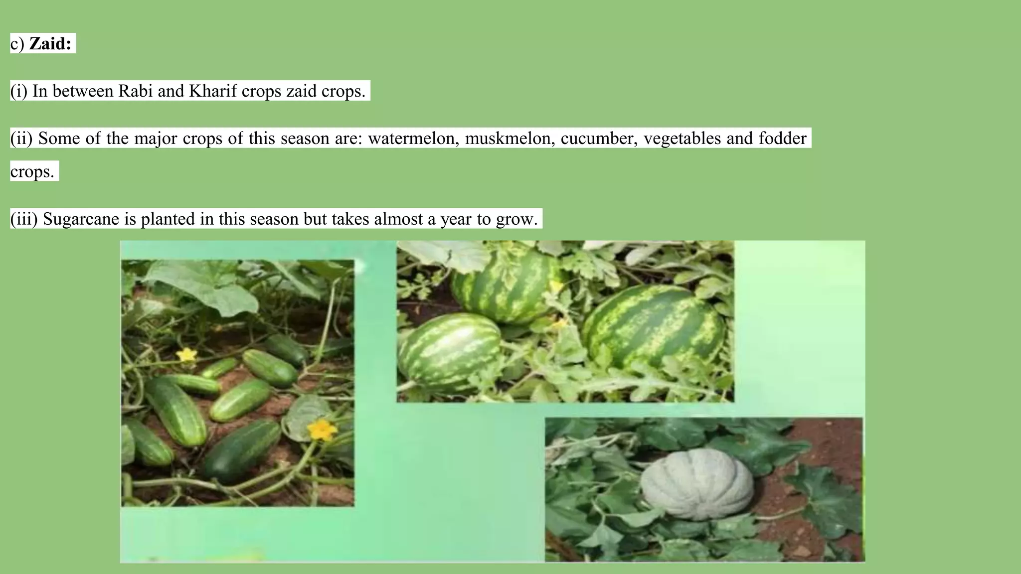 Chapter 4 agriculture | PPTX