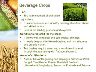 Chapter 4 Agriculture Class 10 Geography | PPT