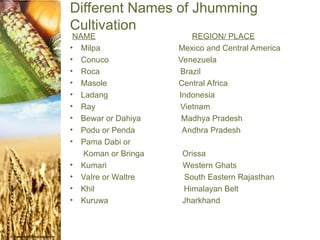 Chapter 4 Agriculture Class 10 Geography | PPT