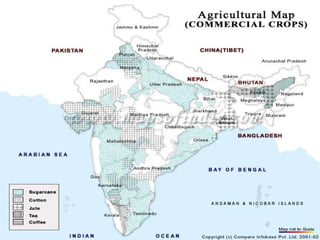 Chapter 4 Agriculture Class 10 Geography | PPT