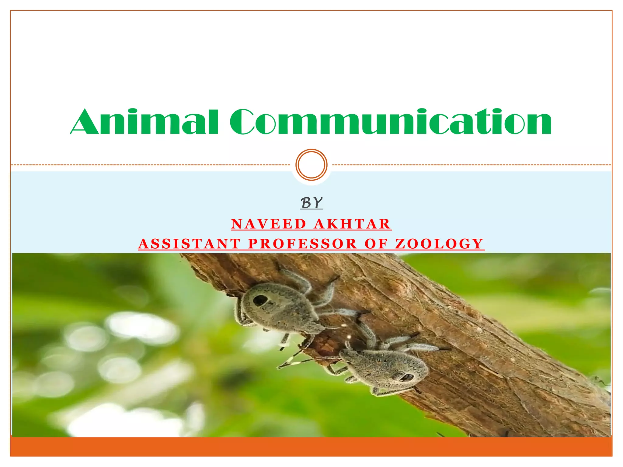 Communication in Animals | PDF