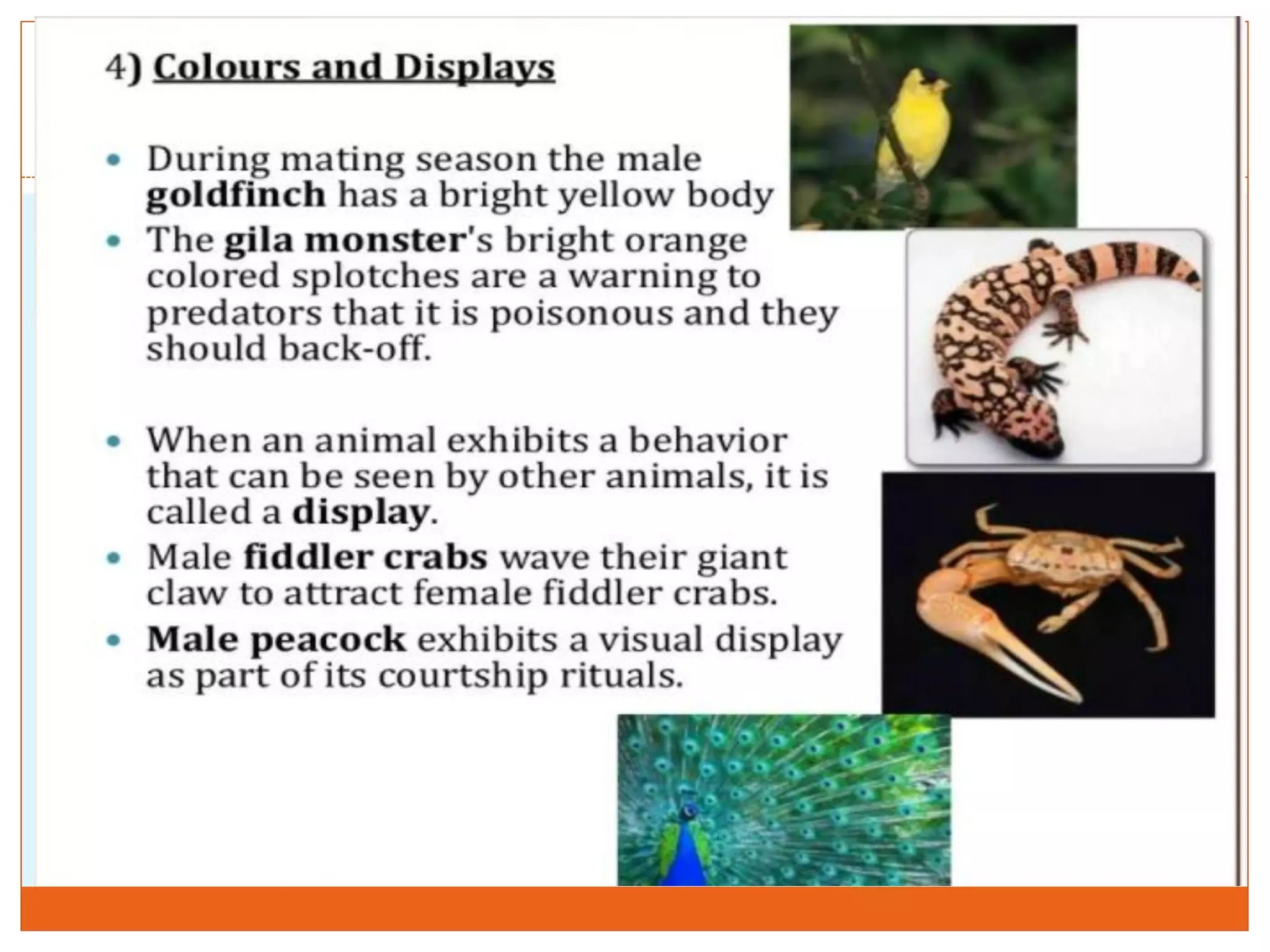 Communication in Animals | PDF