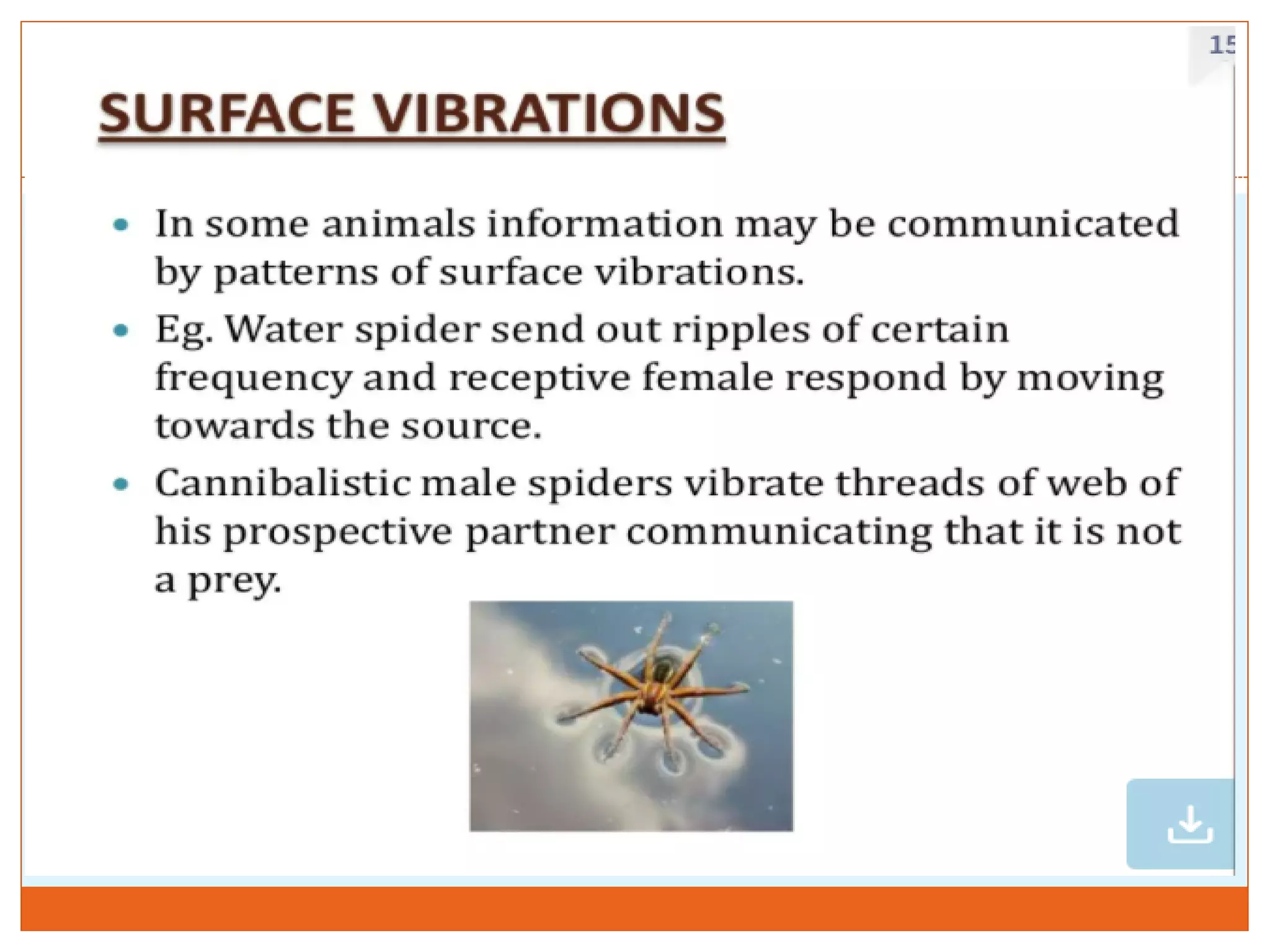 Communication in Animals | PDF