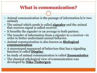 Communication in Animals | PDF