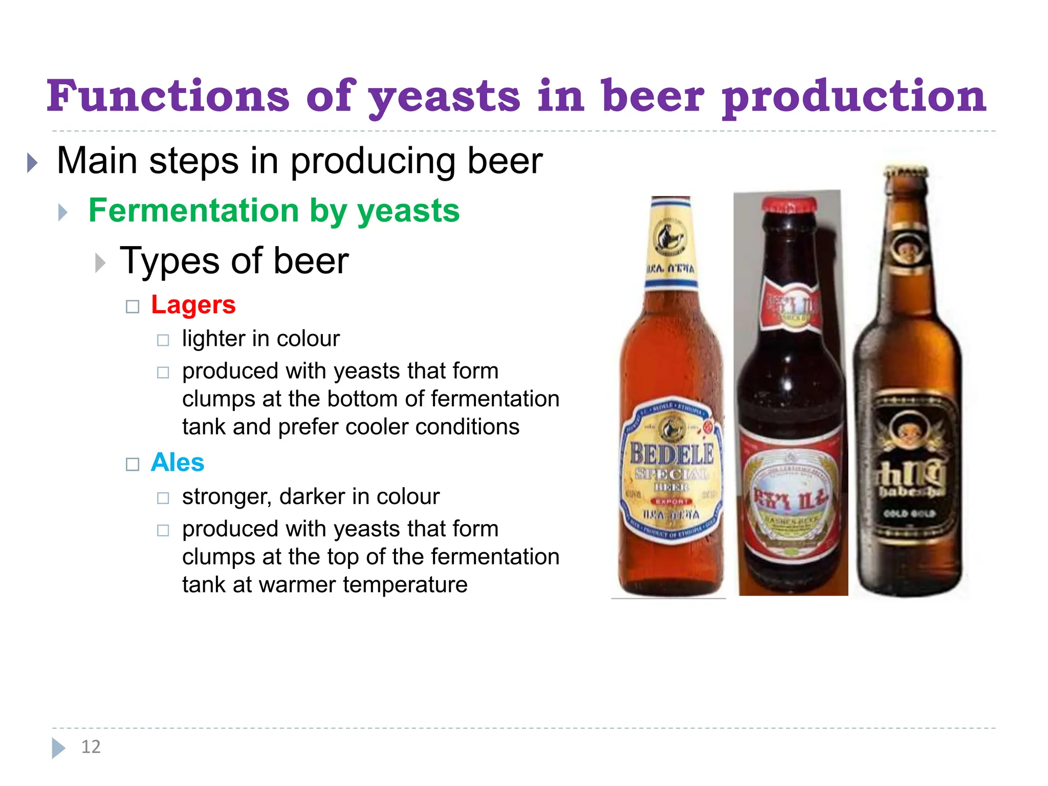 Chapter 4 Application of microbes in food biotechnology.pptx