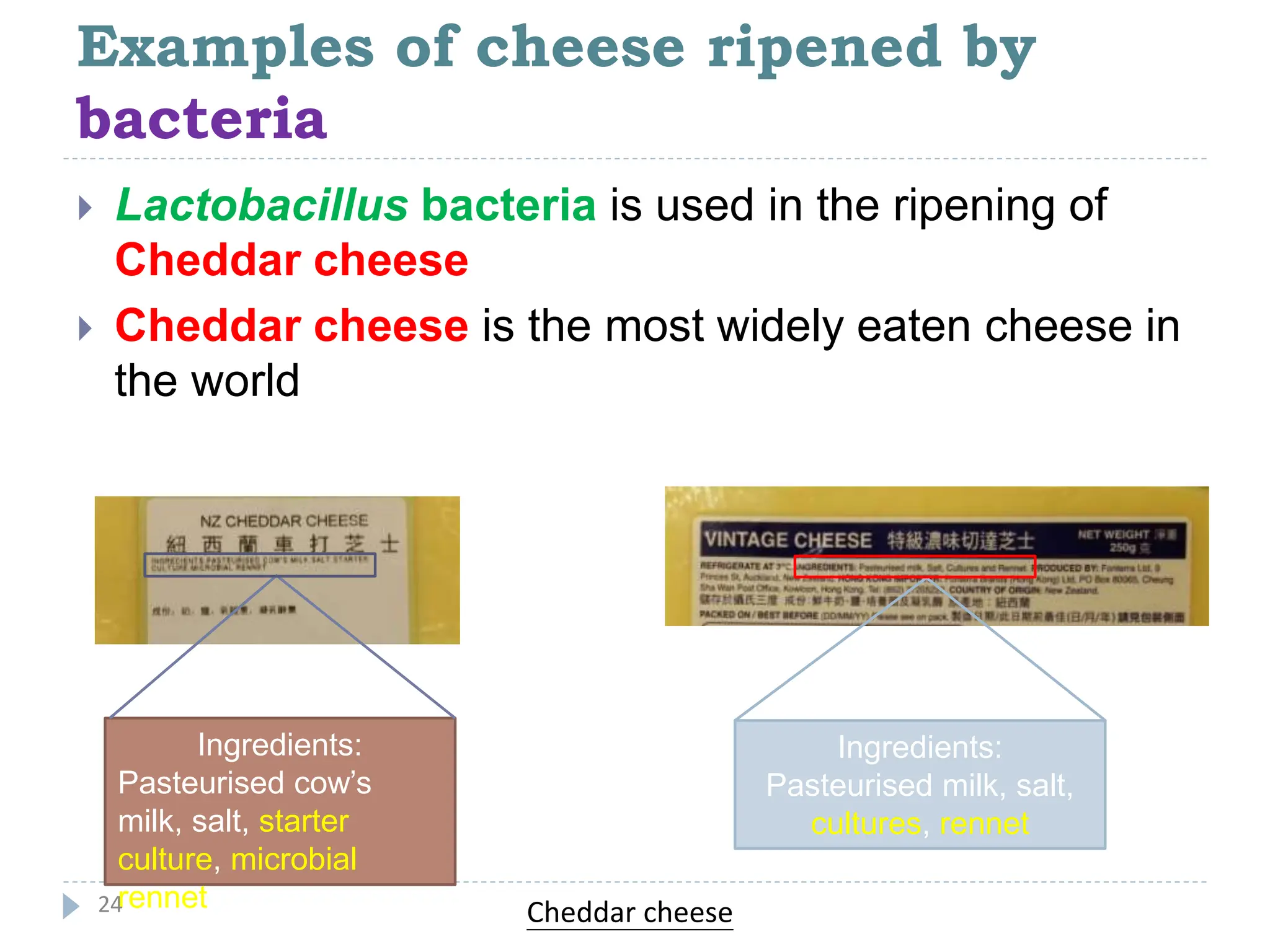Chapter 4 Application of microbes in food biotechnology.pptx